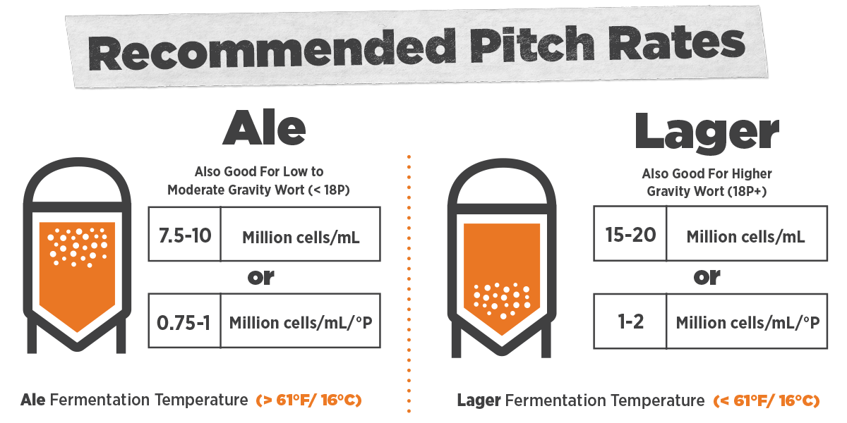 Why Pitch Rate Matters (And How to Nail It Every Time)