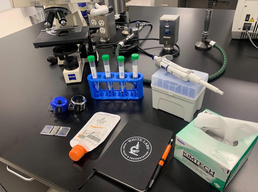 Cell Counting Your Yeast Culture