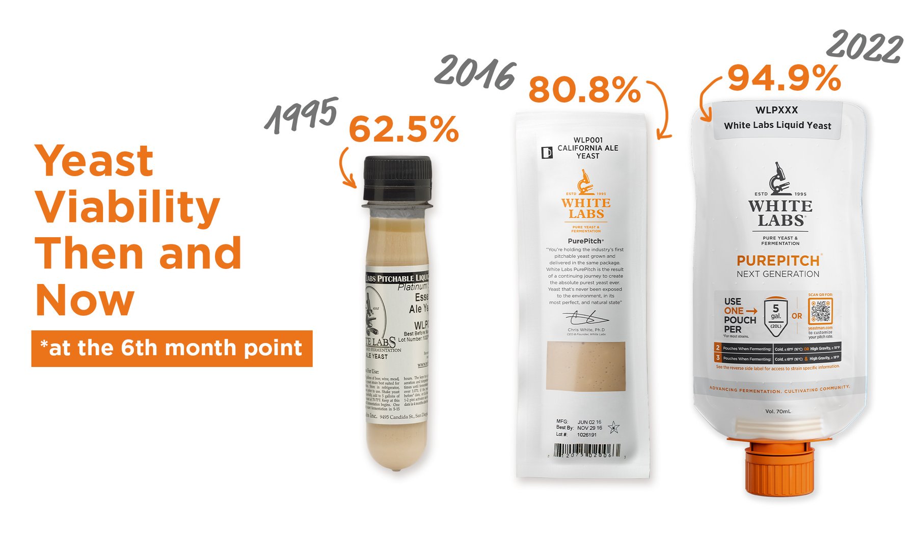 How to Make a Yeast Starter 101