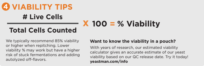 Cell Counting Your Yeast Culture