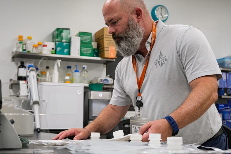 Cell Counting Your Yeast Culture